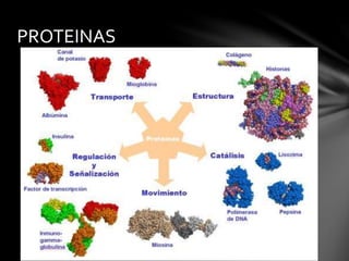 Biocompuestos | PPTX