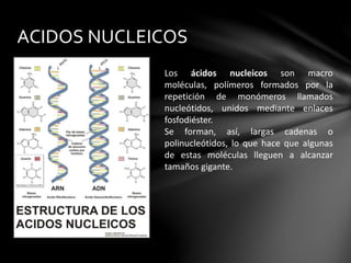 Biocompuestos | PPTX