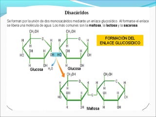 Biocompuestos | PPT