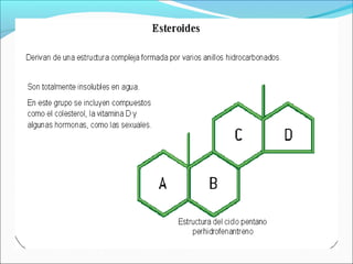 Biocompuestos | PPT