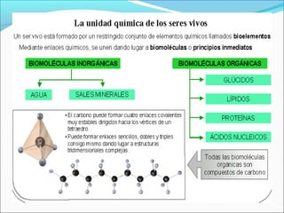 Biocompuestos | PPT
