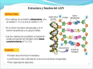 Biocompuestos | PPT