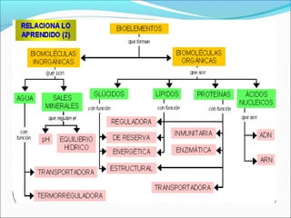 Biocompuestos | PPT