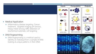 biocomputing-190618135550.pdf