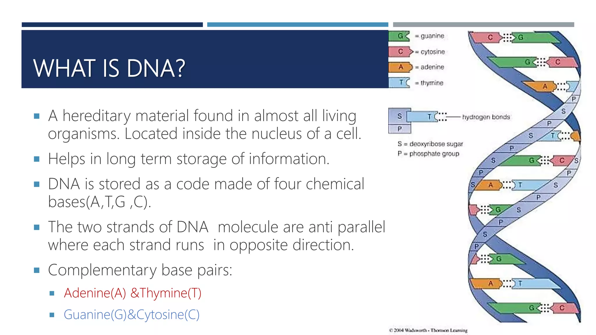 Biocomputing- biological computing | PPTX