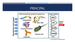 Biocomputing- biological computing | PPTX