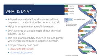 Biocomputing- biological computing | PPTX