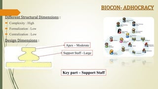 The Structural Evolution of Biocon | PPTX