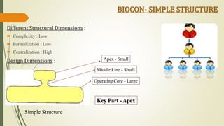 The Structural Evolution of Biocon | PPTX