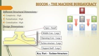 The Structural Evolution of Biocon | PPTX
