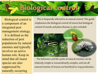 Biological Control | PPTX