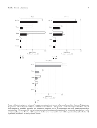 Bioconcentration and-acute-intoxication-of-brazilian-freshwater-fishes ...