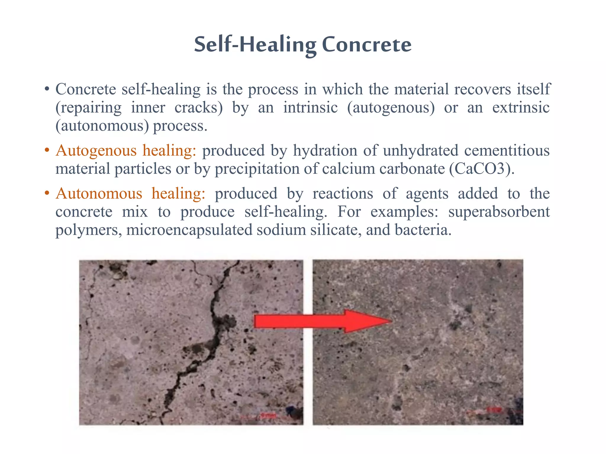 Bioconcrete as a sustainable construction material | PDF