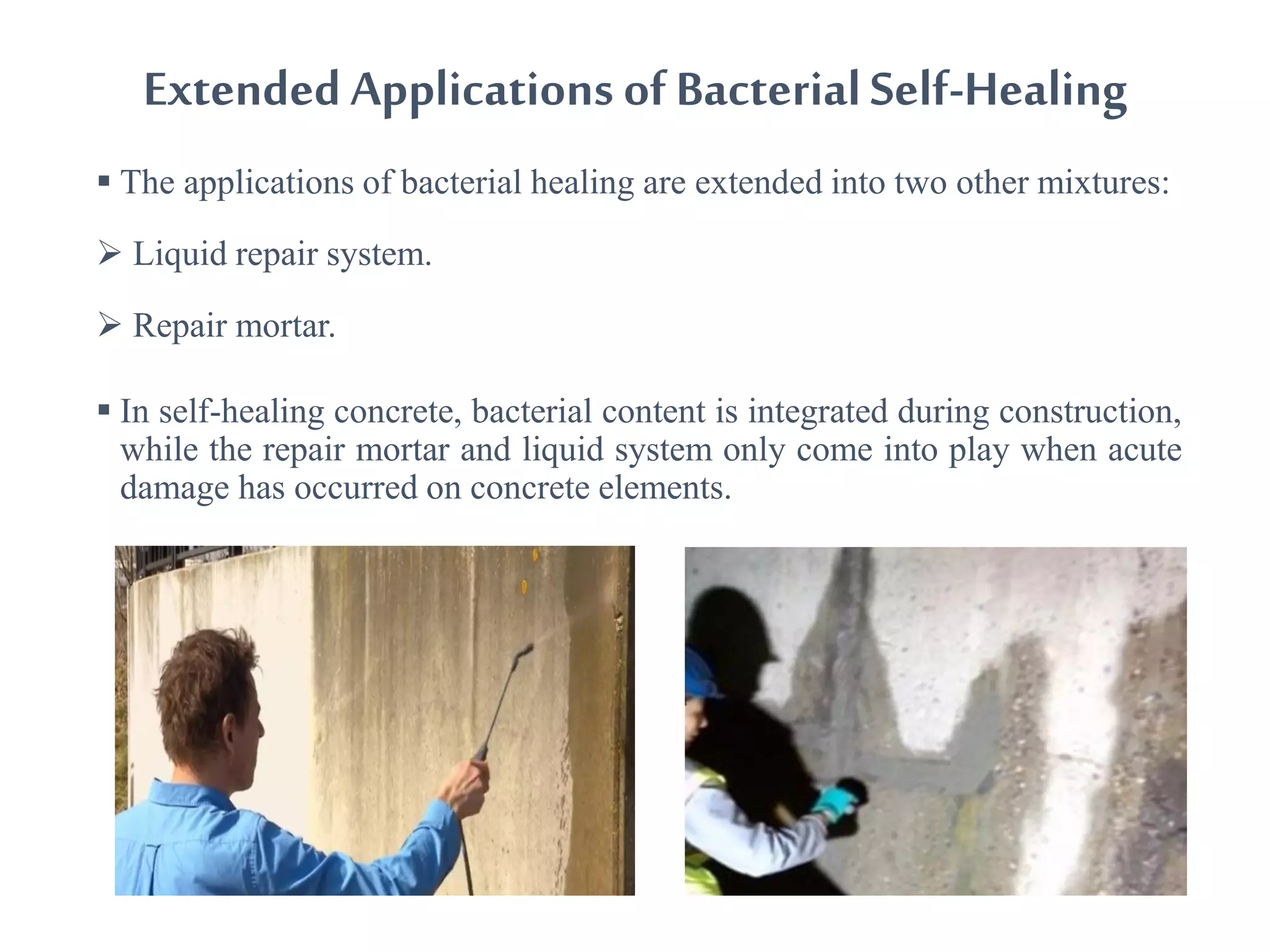Bioconcrete as a sustainable construction material | PDF