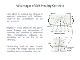 Bioconcrete as a sustainable construction material | PDF