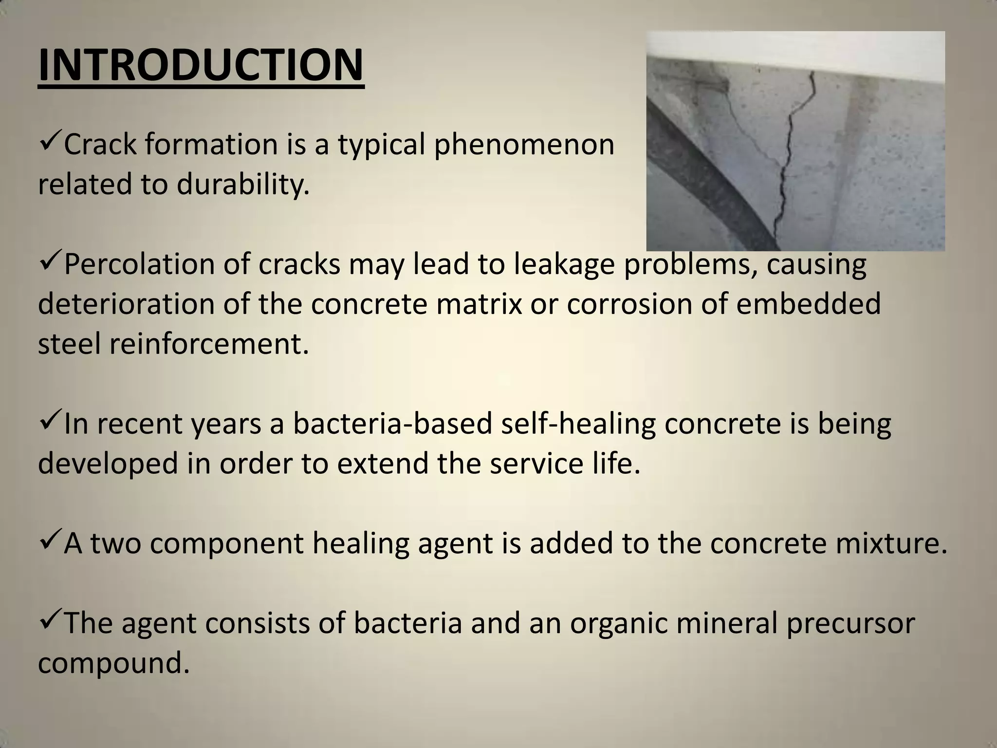 Bio concrete ppt | PPTX