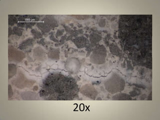 Bio concrete ppt | PPTX