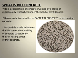 Bio concrete ppt | PPTX