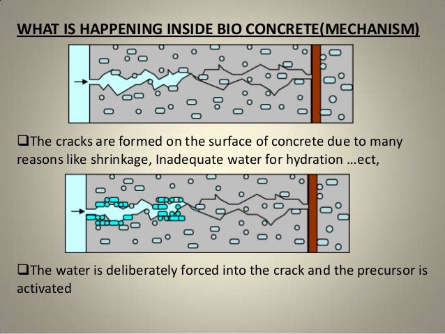 Bio concrete ppt