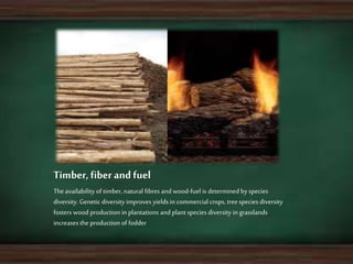 Bioconservation and Poverty | PPTX | Agriculture | Industries