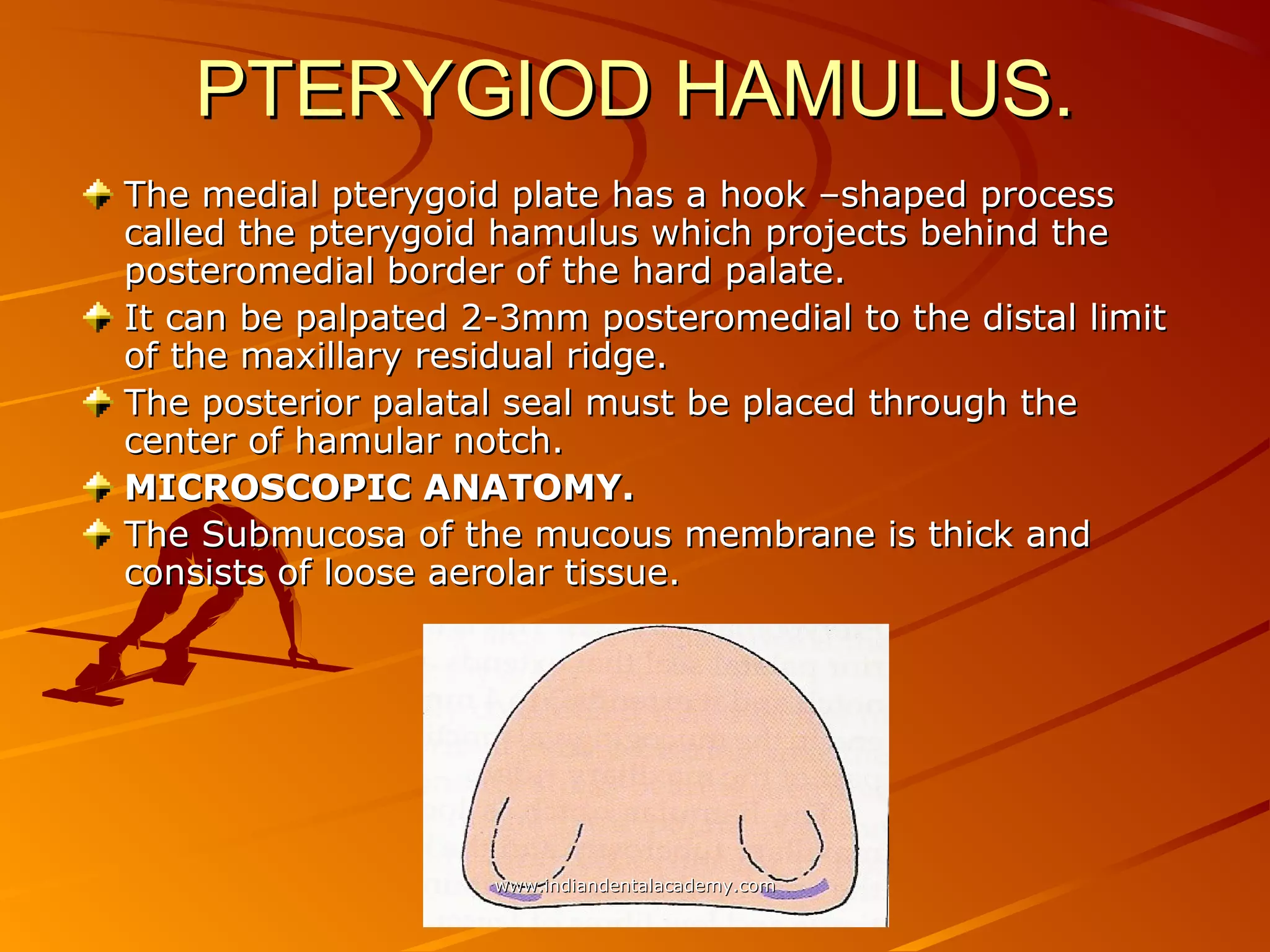 Biological consideration in maxillary edentulous arch/endodontic ...