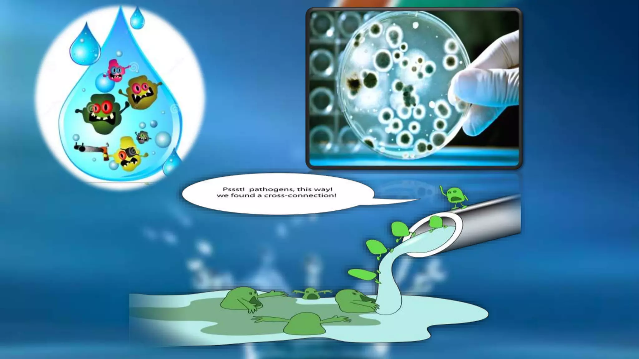 Biocontamination | PPTX