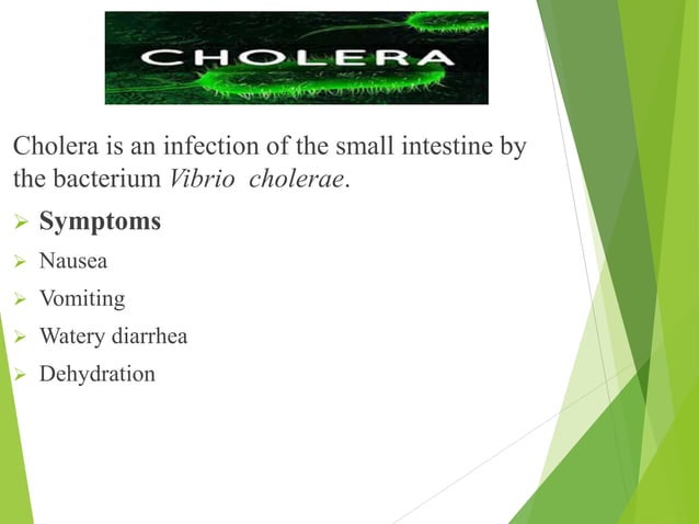 Biocontol of cholera | PPT