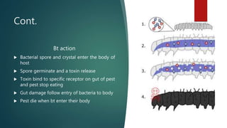 Biocontrol | PPT