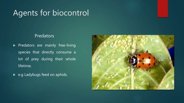 Biocontrol | PPT