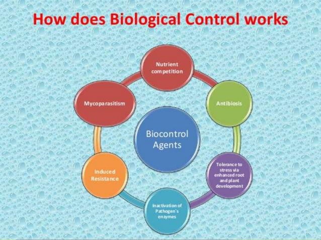 Biocontrol Agents | PPTX | Gardening | Home & Garden