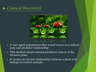 Biocontrol Agents | PPTX