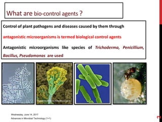 Biocontrol agents production and application | PPTX