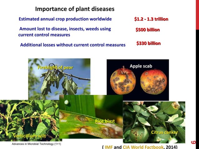 Biocontrol agents production and application | PPTX