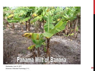 Biocontrol agents production and application | PPTX