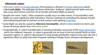 biological control of early blight disease | PPT