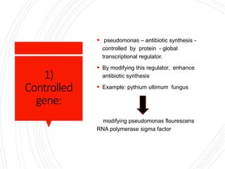 Biocontrol of pathogens using siderophores, antibiotics, enzymes FOR ...