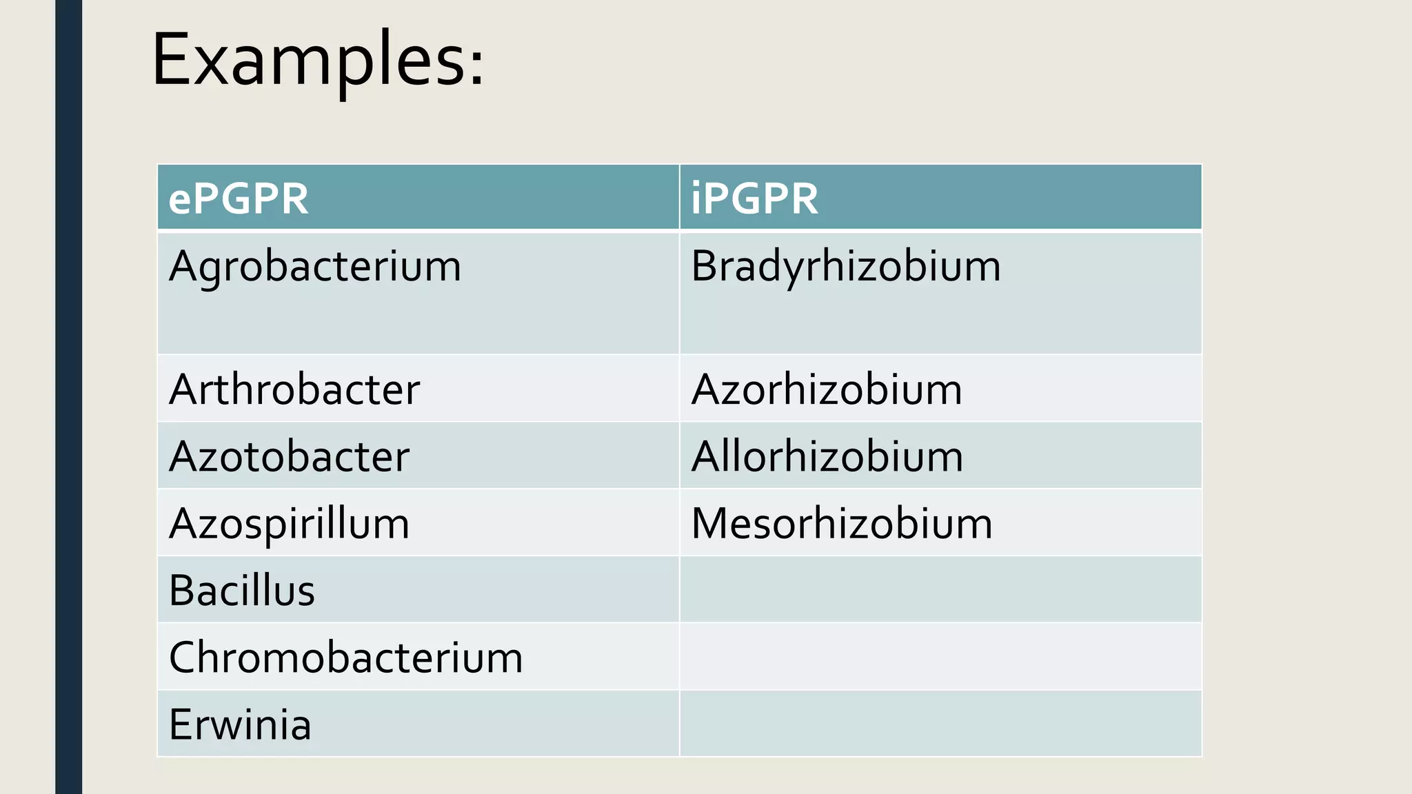role of pgpr in plant development | PPTX