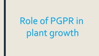 role of pgpr in plant development | PPTX