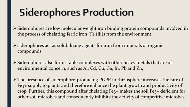 role of pgpr in plant development | PPTX | Agriculture | Industries