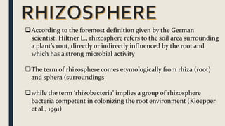 role of pgpr in plant development | PPTX
