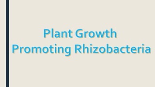 role of pgpr in plant development | PPTX