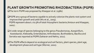 role of pgpr in plant development | PPTX