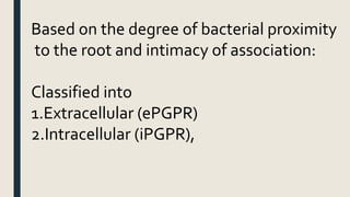 role of pgpr in plant development | PPTX