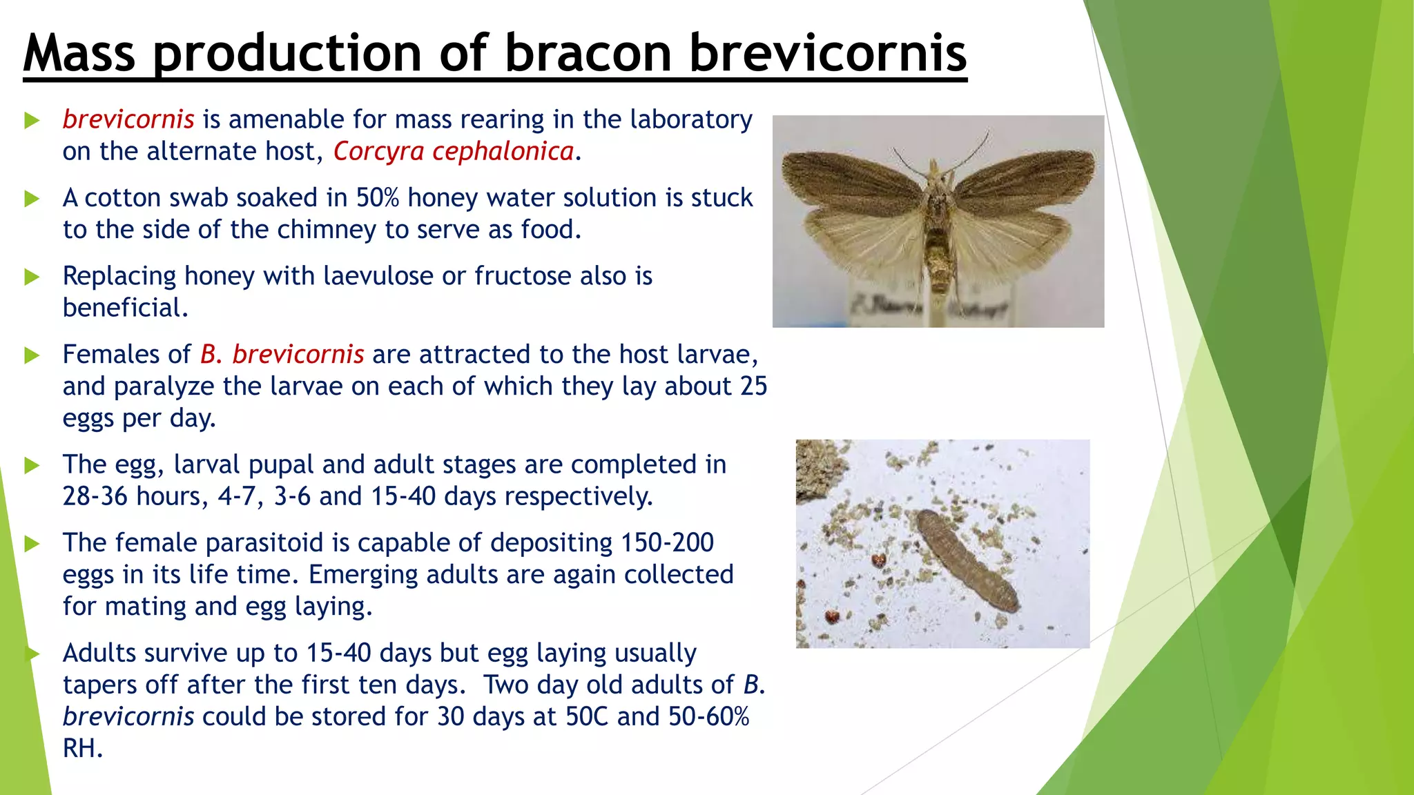 Biocontrol ppt | PPTX