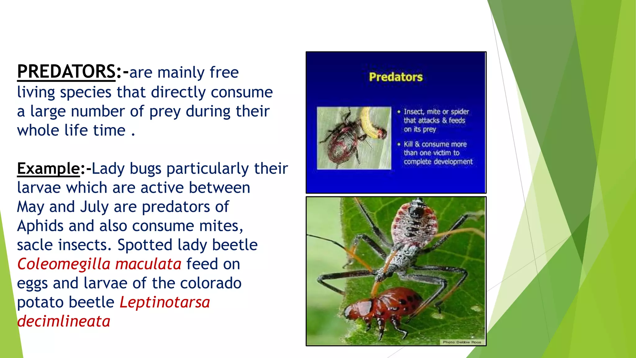 Biocontrol ppt | PPTX