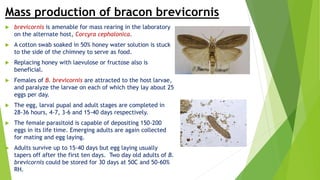 Biocontrol ppt | PPTX