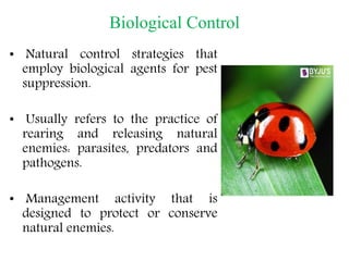 Biological Control of Garden pea | PPT