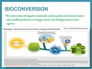 Bioconversion of starch | PPTX