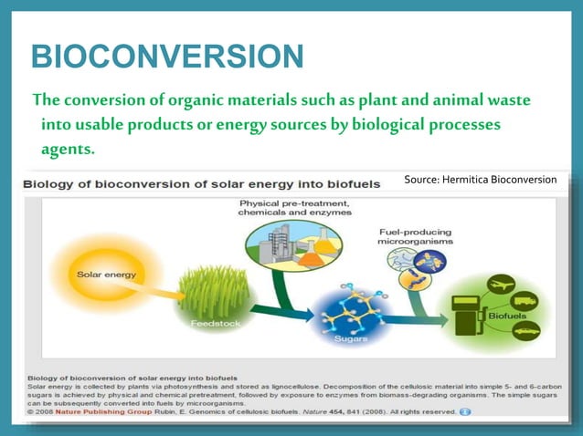 Bioconversion of starch | PPTX