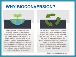 Bioconversion of starch | PPTX